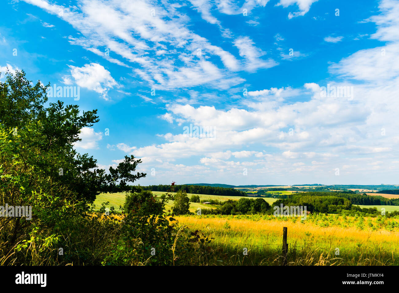 Beautiful scenery, summer sunny meadow. Blue sky with clouds and sun ...
