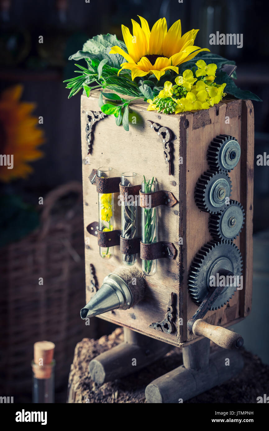 Vintage virgin oil machine with sunflower and seeds Stock Photo - Alamy