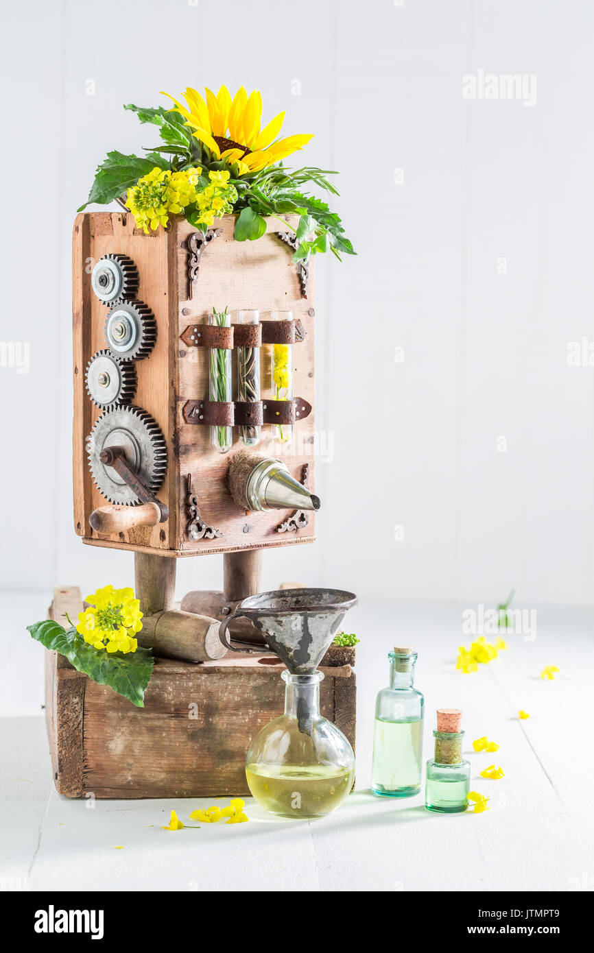 Antique virgin oil machine with sunflower and seeds Stock Photo - Alamy