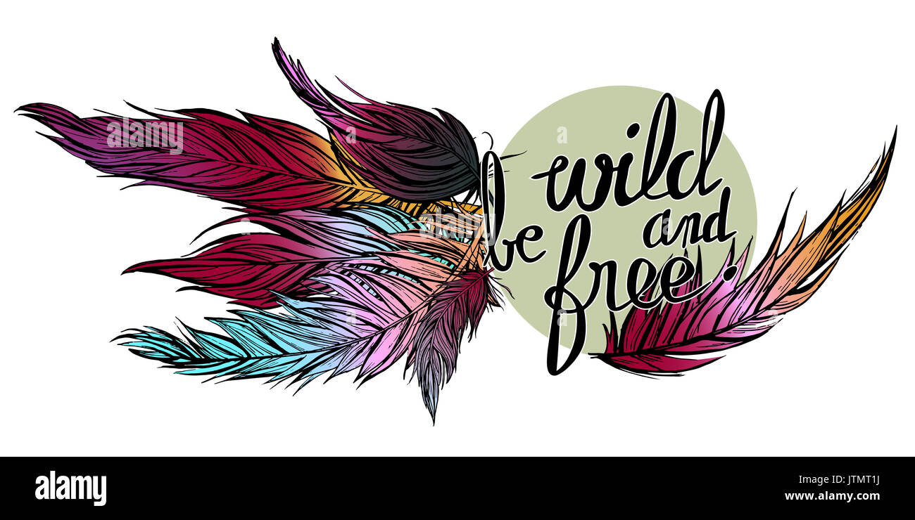 vector illustration of hand drawn colorful feathers with quote be wild ...