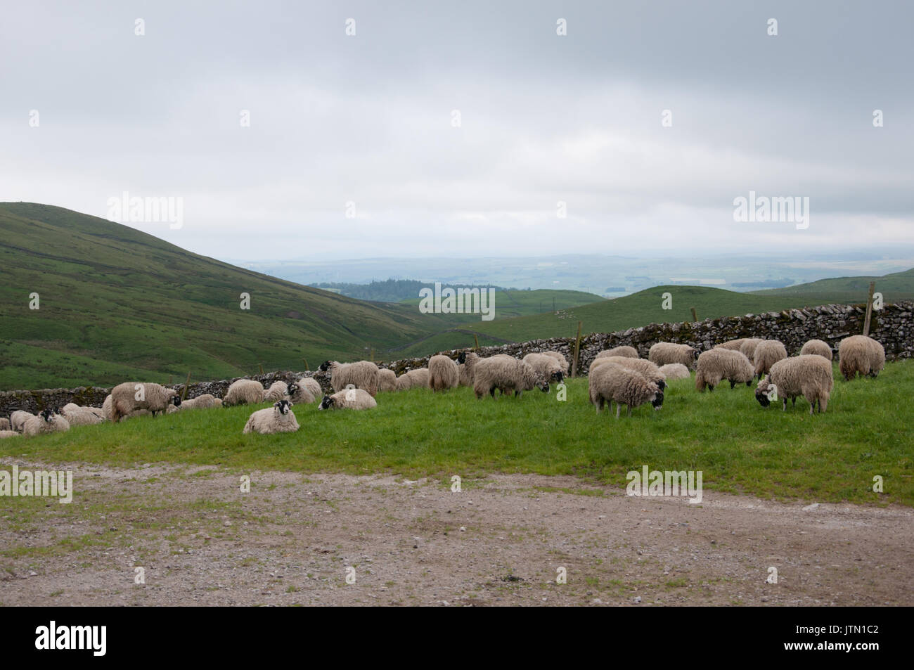 Swaledale north yorks hi-res stock photography and images - Alamy