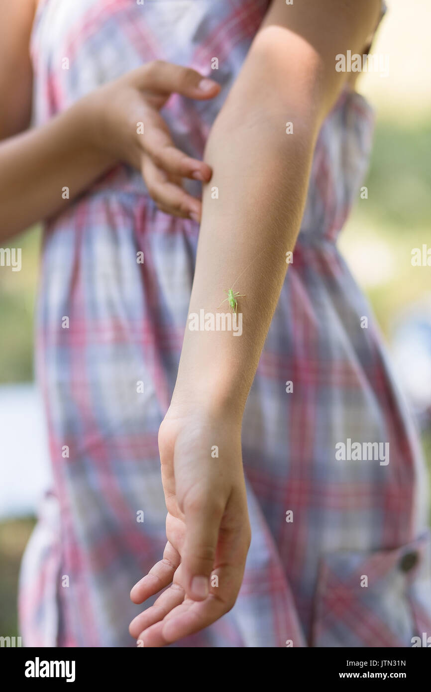 Close up view of little insect on the hand of little girl Stock Photo ...