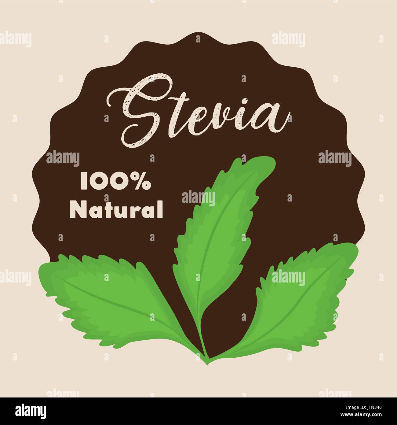 Stevia branch Stock Vector Images - Alamy