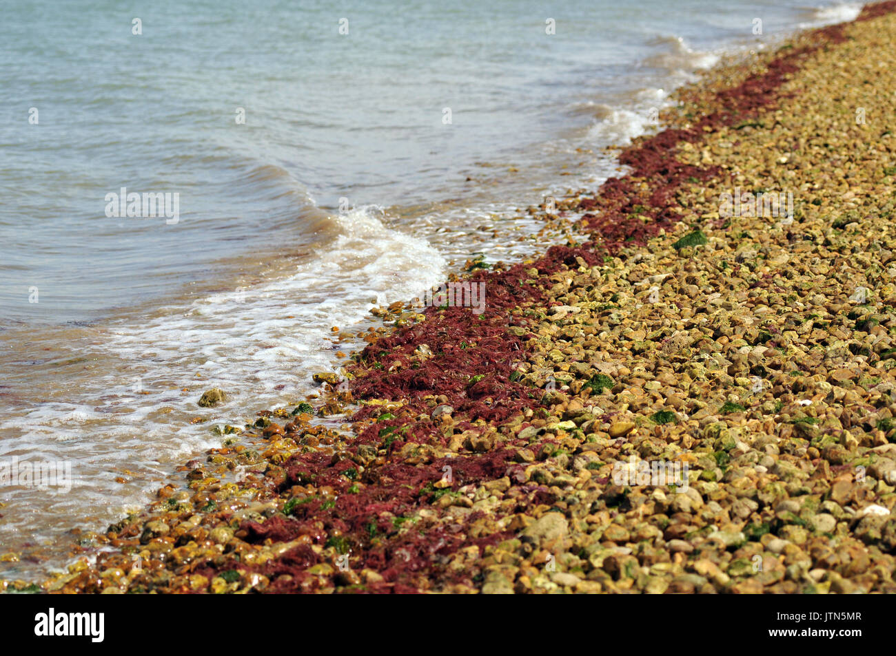 waves and ripples lapping up against a seashore with a pebbled beach ...