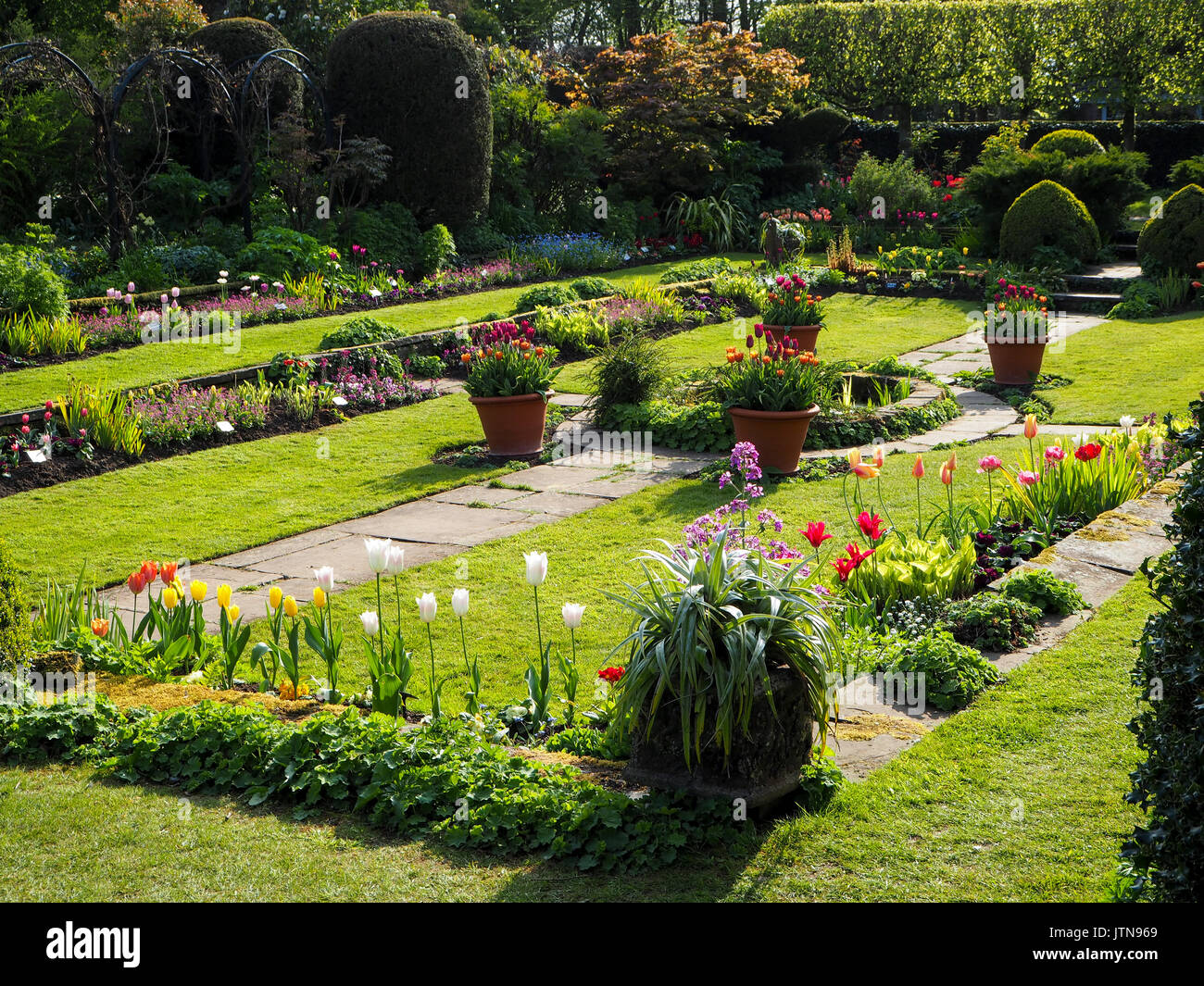 Chenies Manor sunken garden at tulip time. Landscape view of a lovely ...