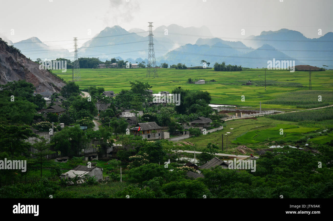 Rice field with small village in Northern Vietnam. Rice production in ...