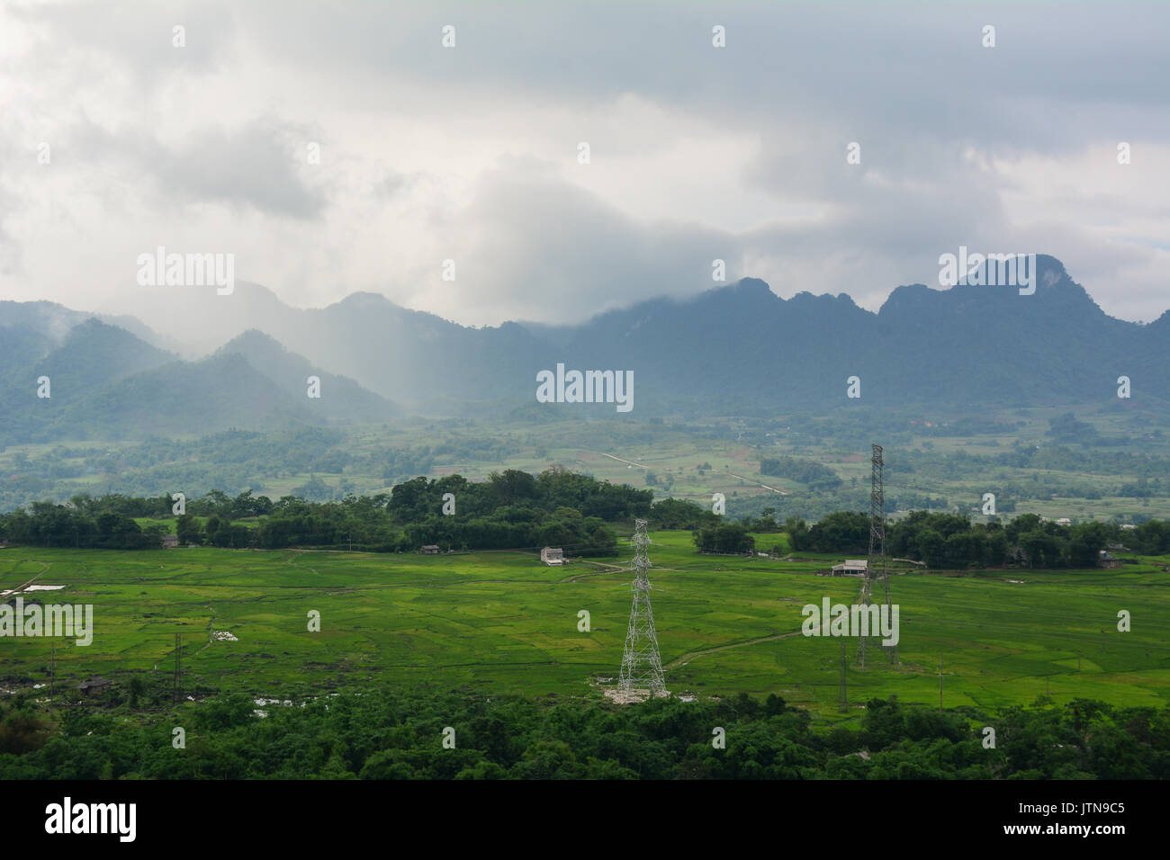 Rice field with mountains in Northern Vietnam. Rice production in ...