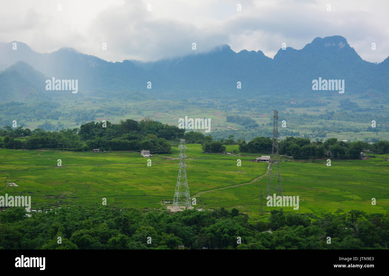 Rice field with mountain background in Northern Vietnam. Rice ...