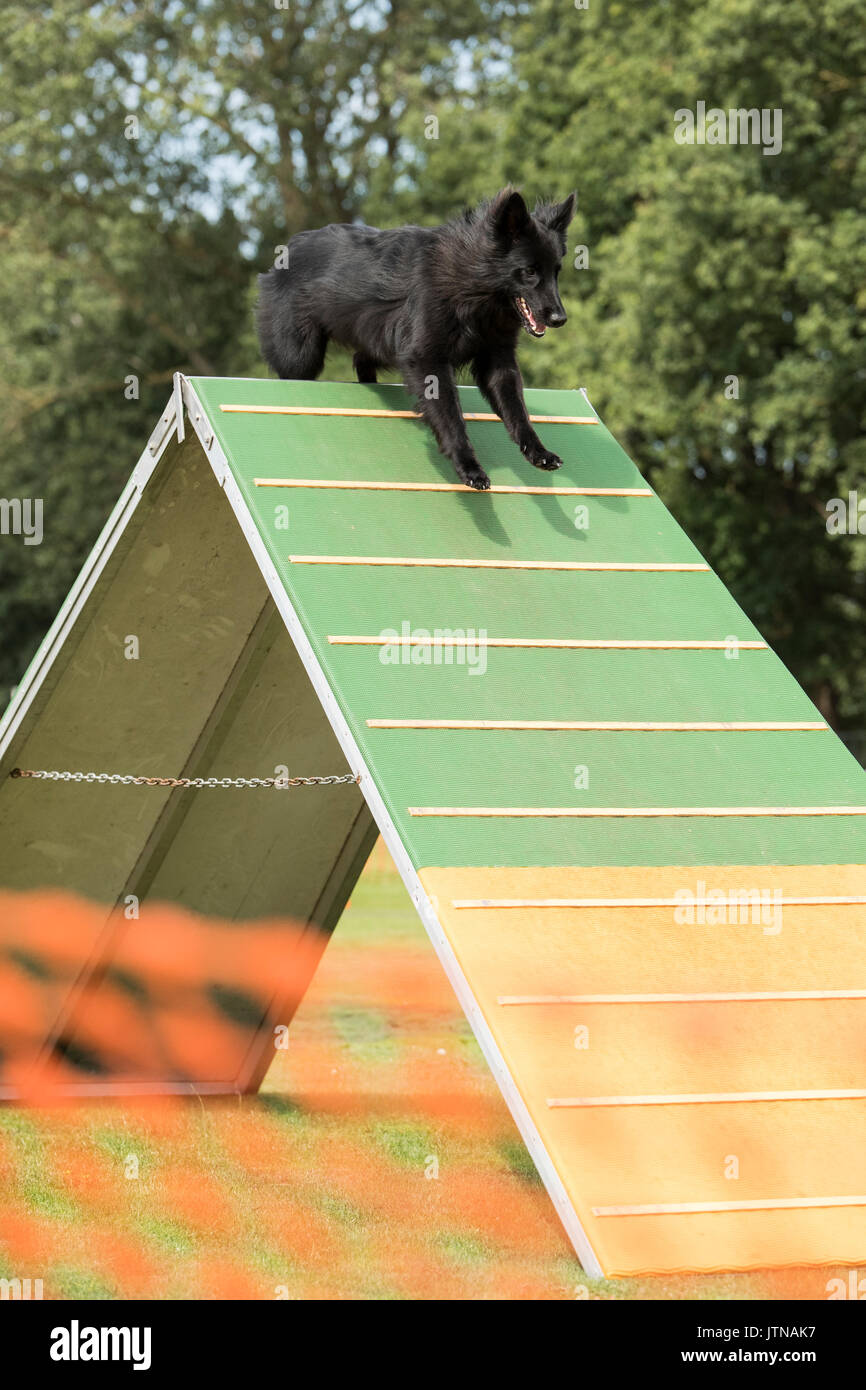 Running frame hi-res stock photography and images - Alamy