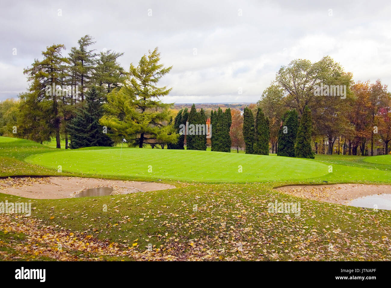 Colors of the fall at Midwest USA. Fallen leaves on a green lawn ...