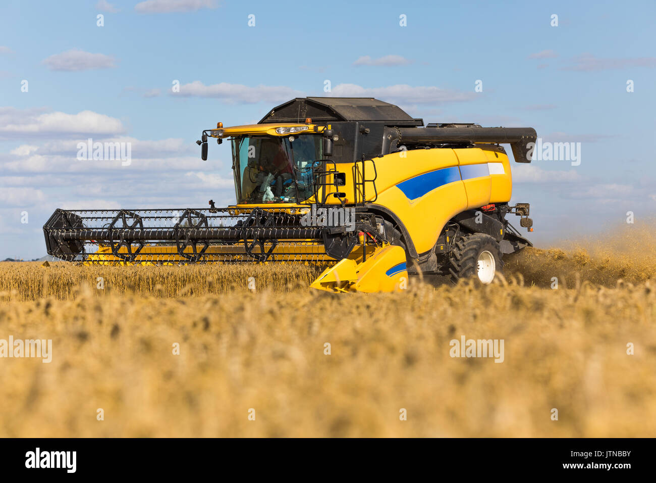 Yellow combine harvester on a wheat field with blue sky Stock Photo - Alamy