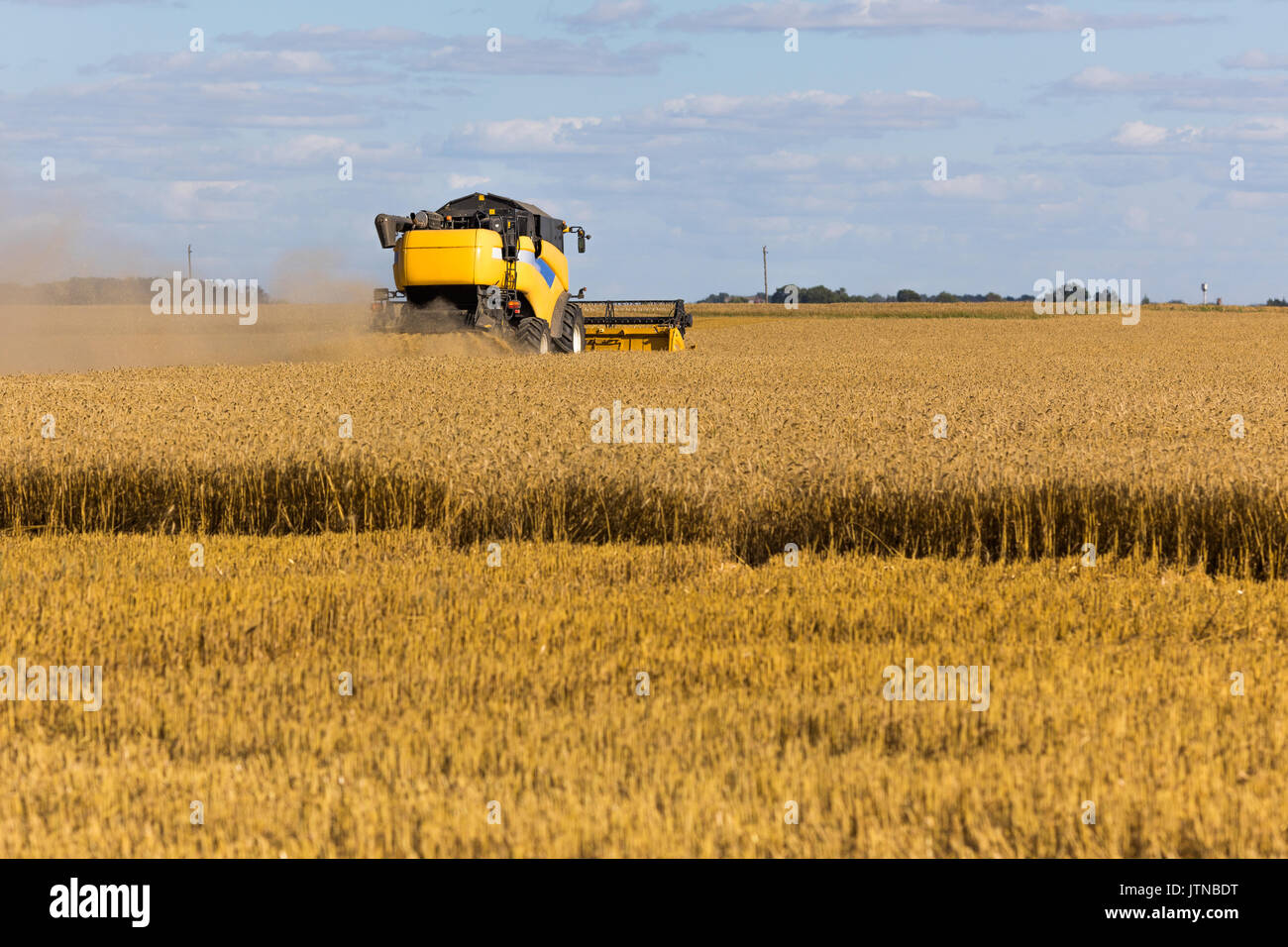 Yellow combine harvester on a wheat field with blue sky Stock Photo - Alamy