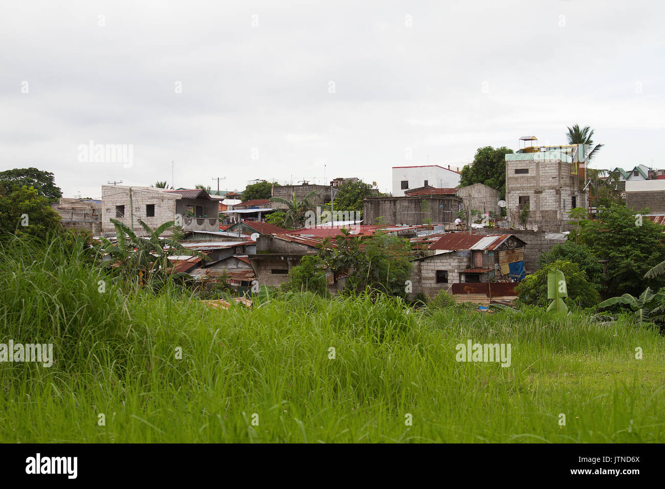 Squatter in Manila beside a grassland and some bananas Stock Photo - Alamy