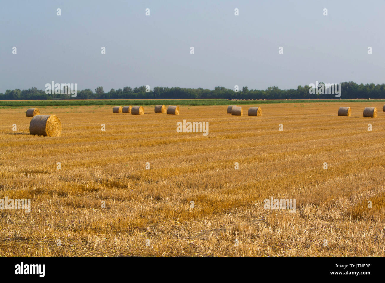 Rural landscape field meadow with hay bales after harvest Stock Photo ...