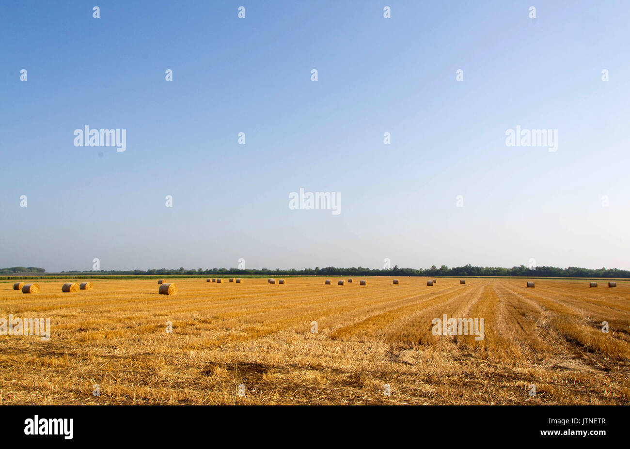 Rural landscape field meadow with hay bales after harvest Stock Photo ...