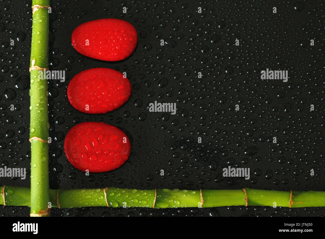 Bamboo branch at right angles on the bottom left side with red pebbles ...