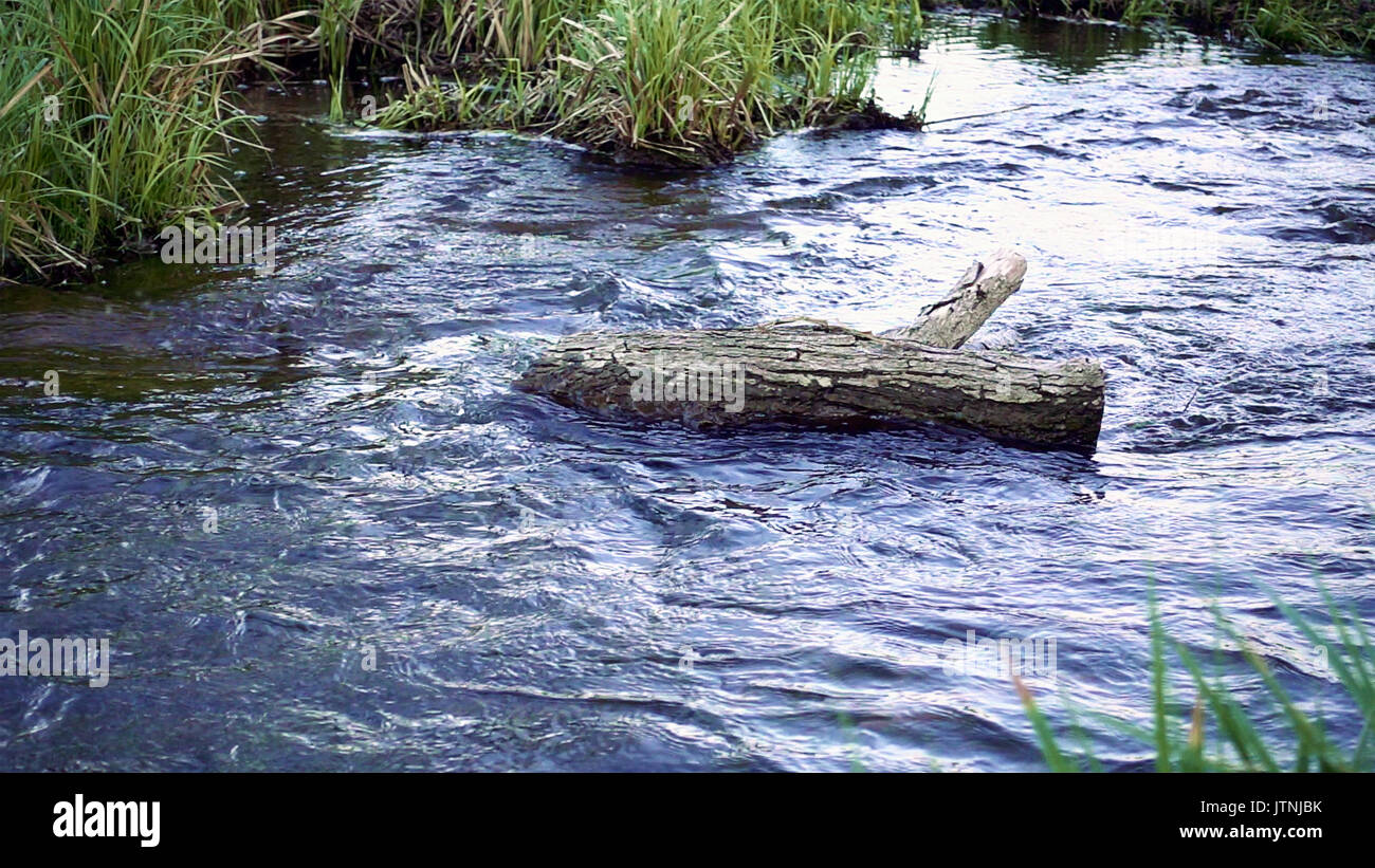 Water stream flows around log Stock Photo - Alamy