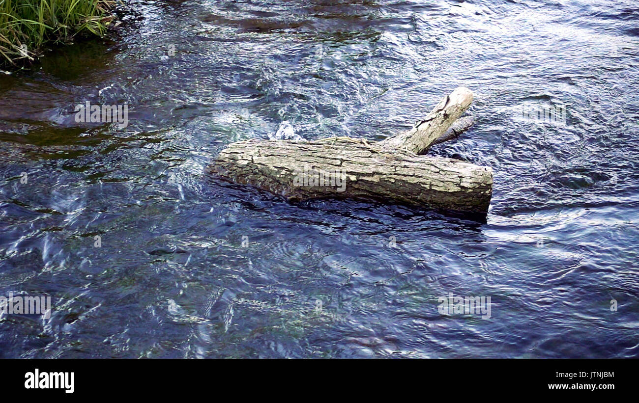Water stream flows around log Stock Photo - Alamy