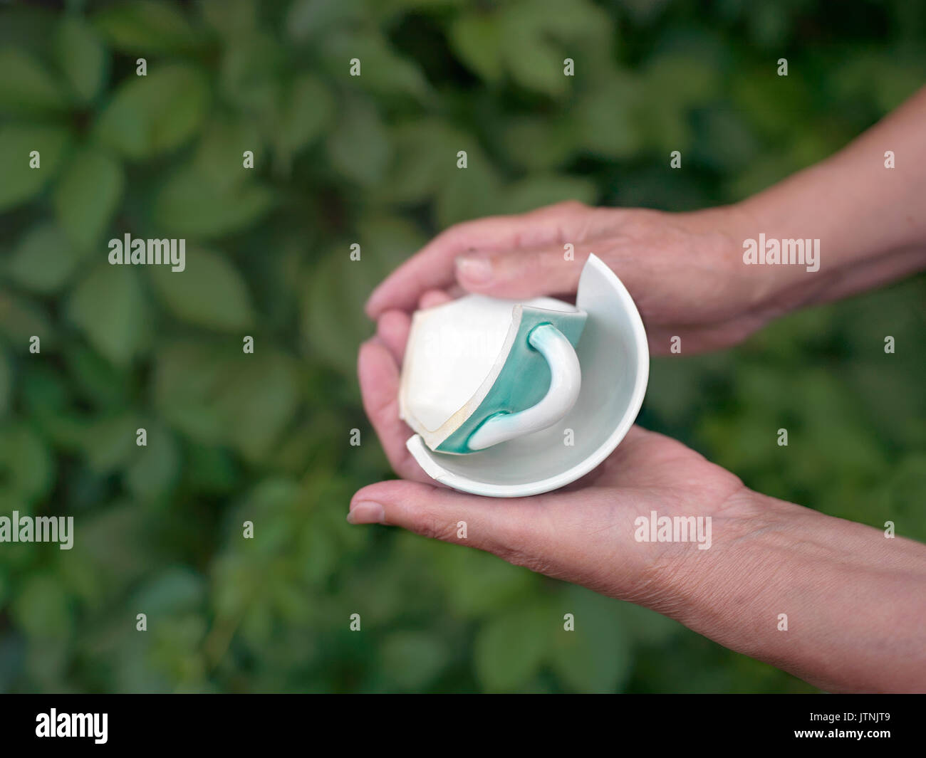 Broken tea cup in female hands, shallow depth of field photo, green ...