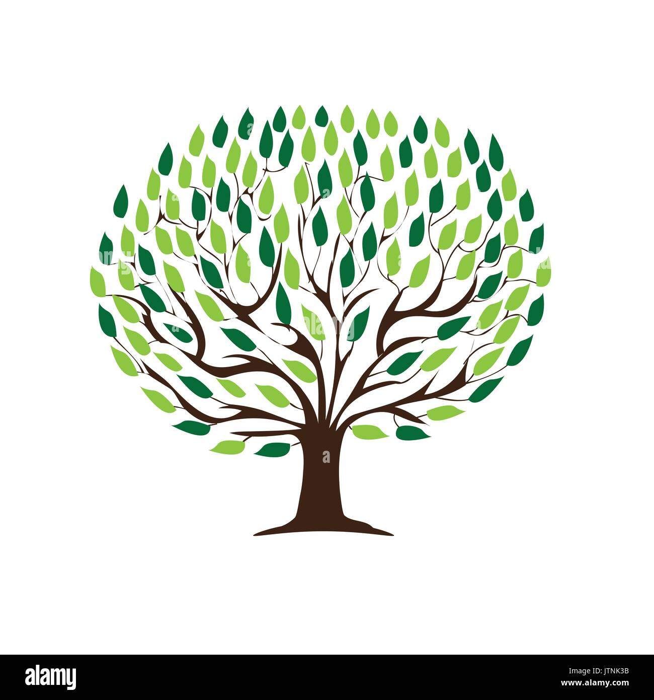 tree with many leaves, nature , illustration design, isolated on white ...