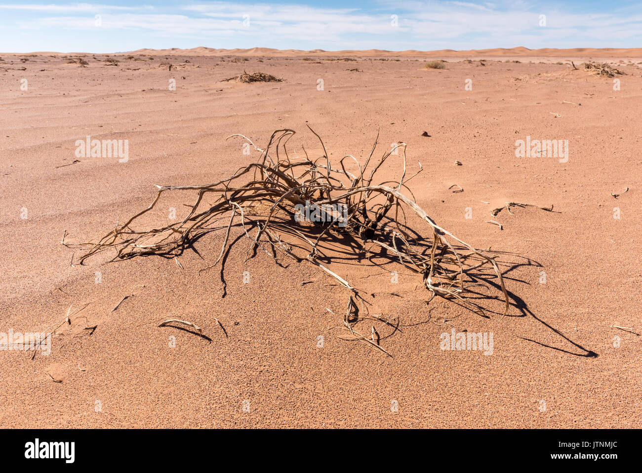 Desertification sahara desert hi-res stock photography and images - Alamy