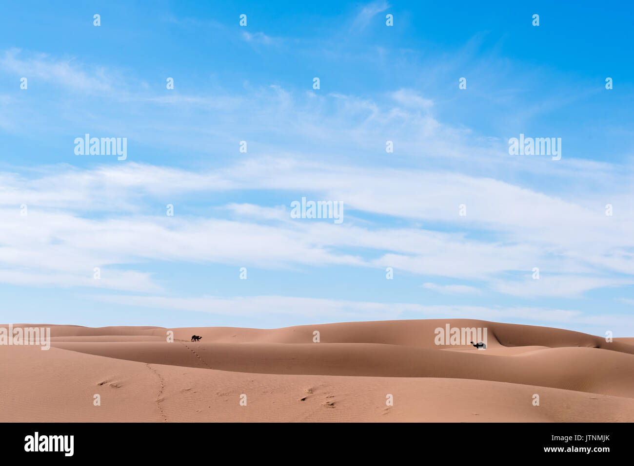 Sahara maroc hi-res stock photography and images - Alamy