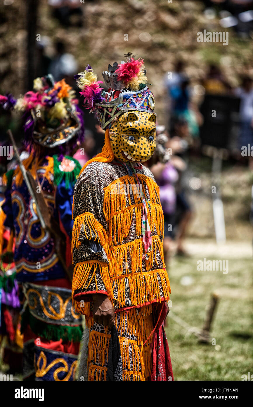 Jaguar mask hi-res stock photography and images - Alamy