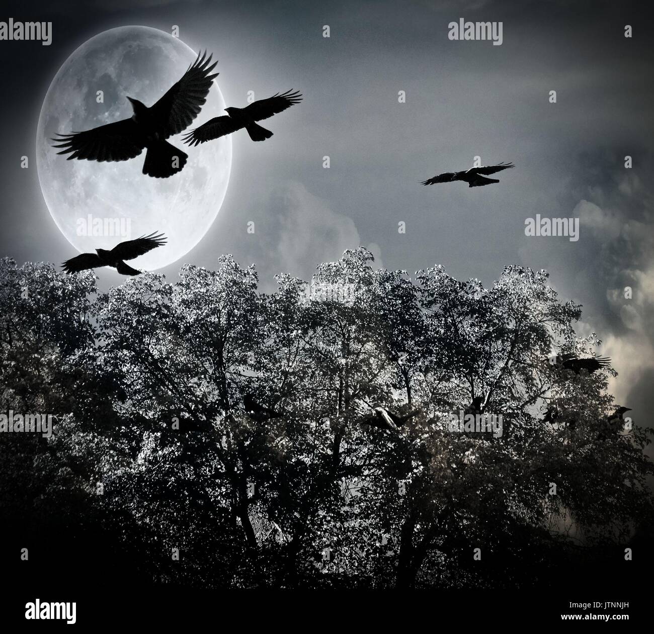 Ravens flying in formation in front of a super moon to join those ...