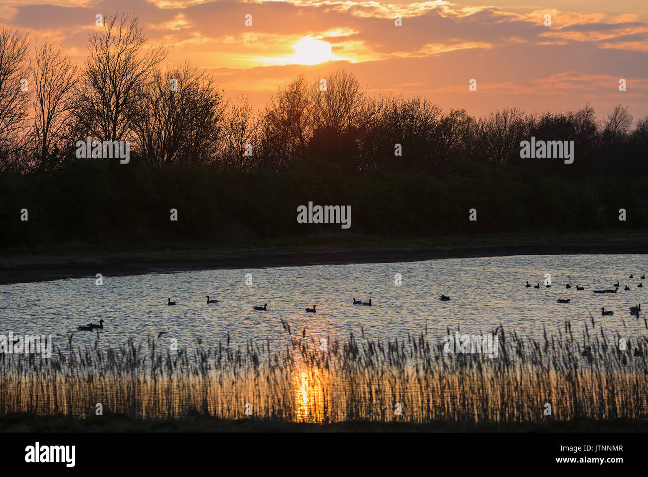 Freiston shore hi-res stock photography and images - Alamy
