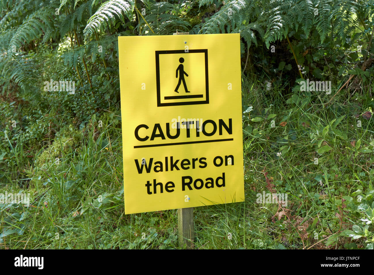 Walking path route hi-res stock photography and images - Alamy