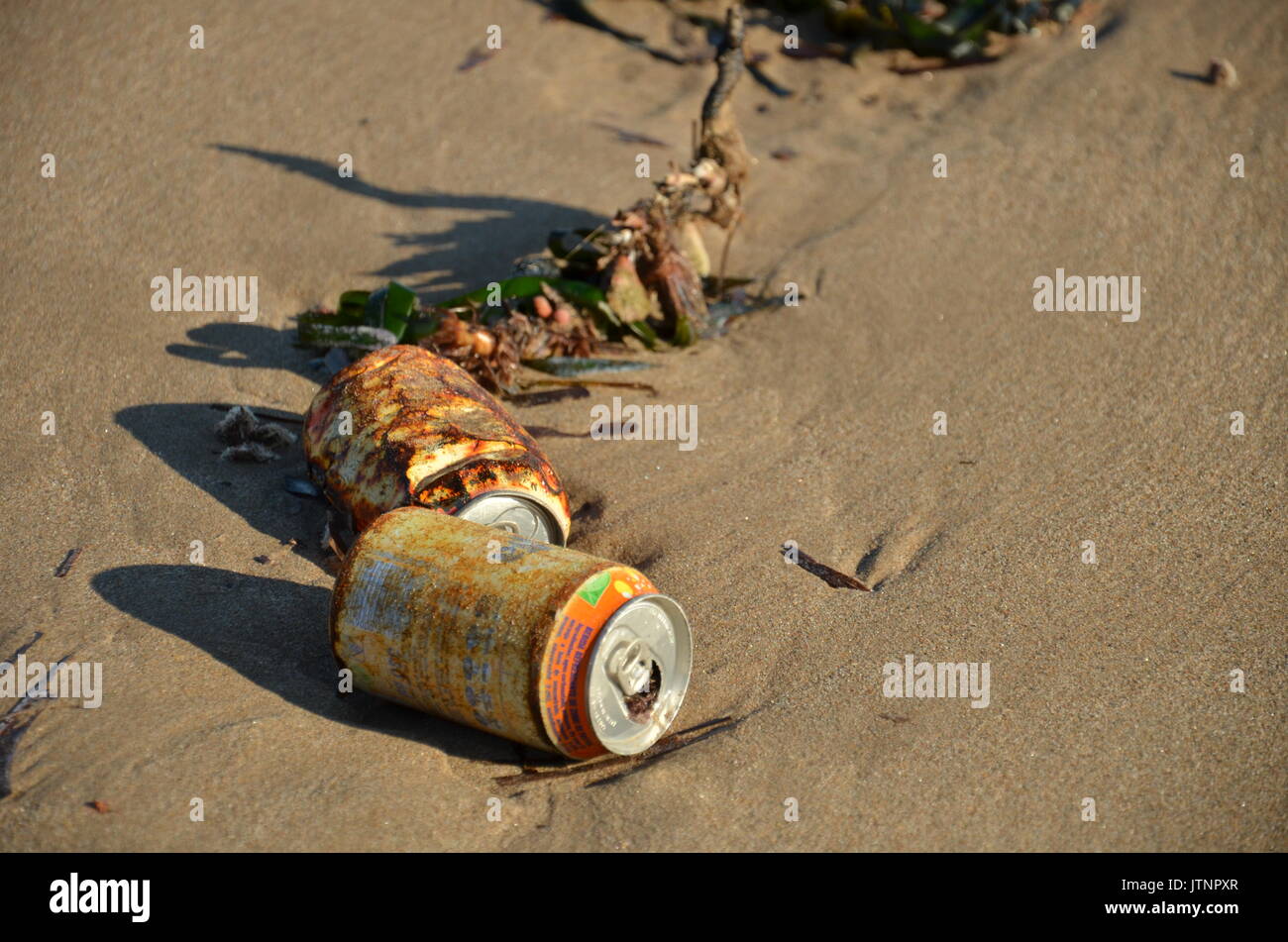 trash on a beach Stock Photo - Alamy