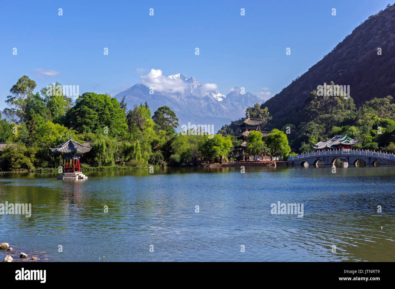 Black dragon pond hi-res stock photography and images - Alamy