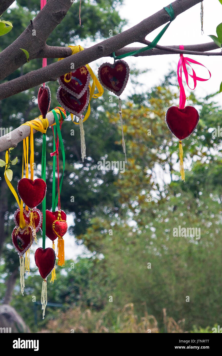 Love tree, Zhonghe, Yunnan Stock Photo - Alamy