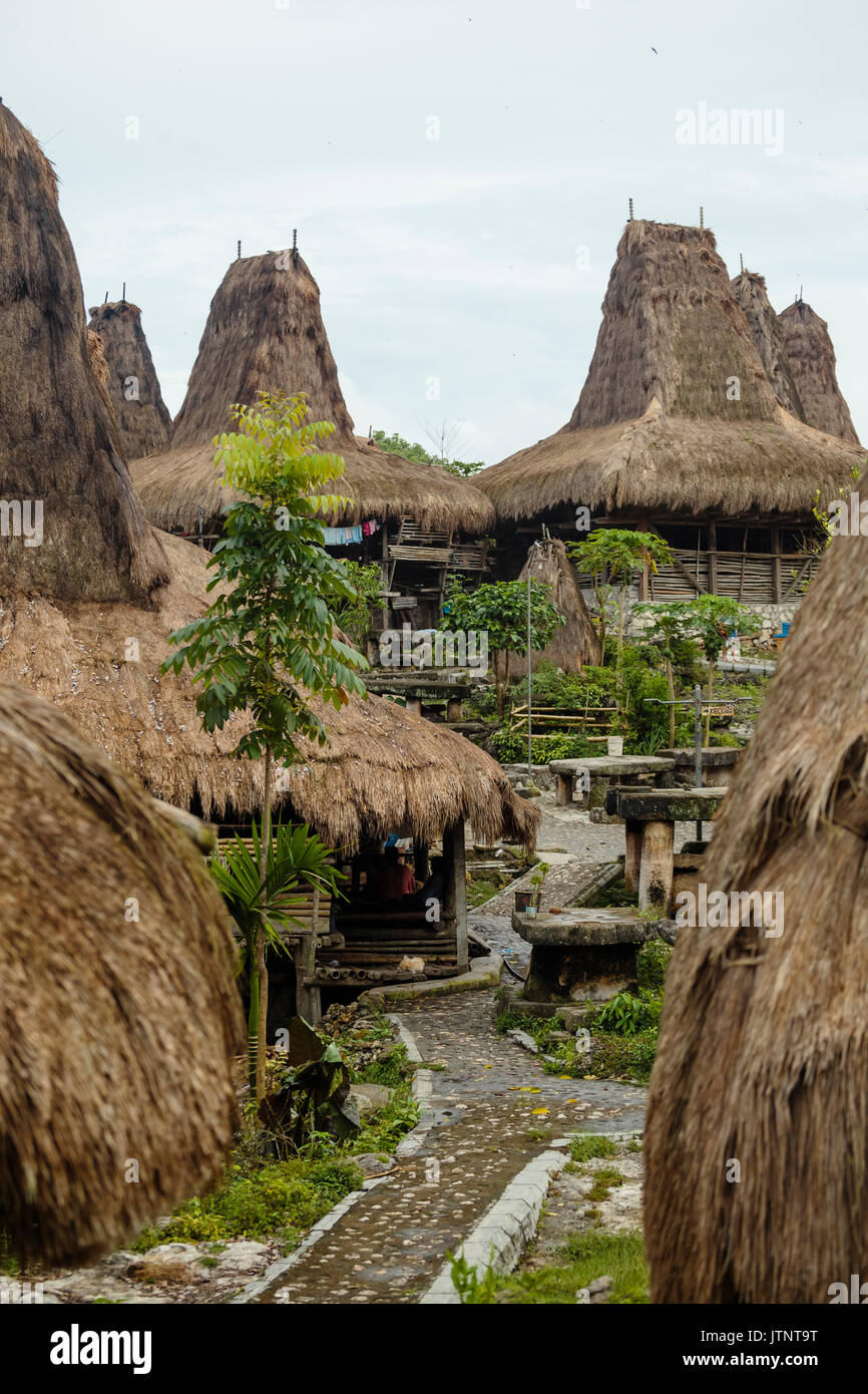 Indonesia rural sumba village hi-res stock photography and images - Alamy