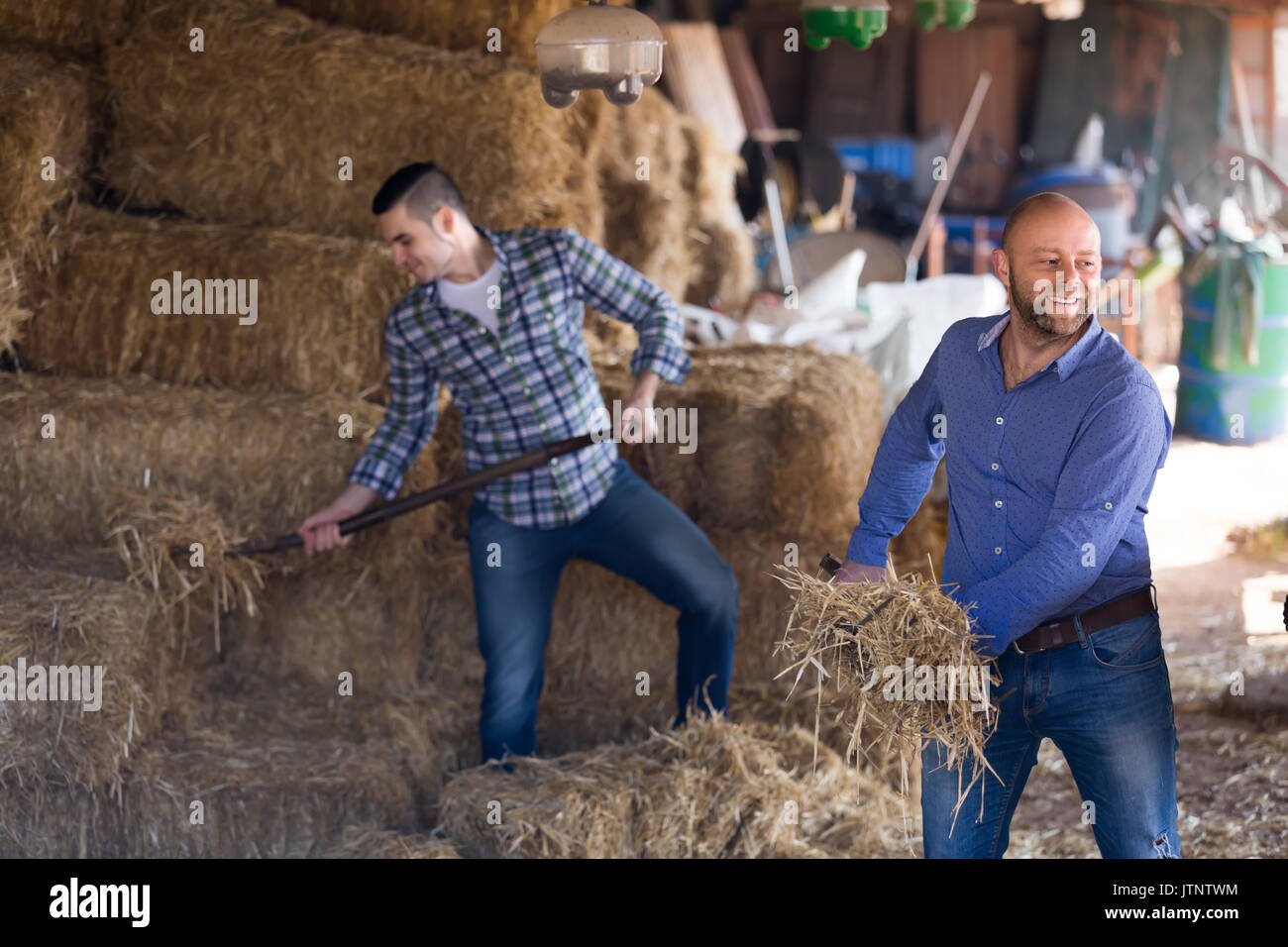 Portrait of two positive smiling male farmers working in barn Stock ...