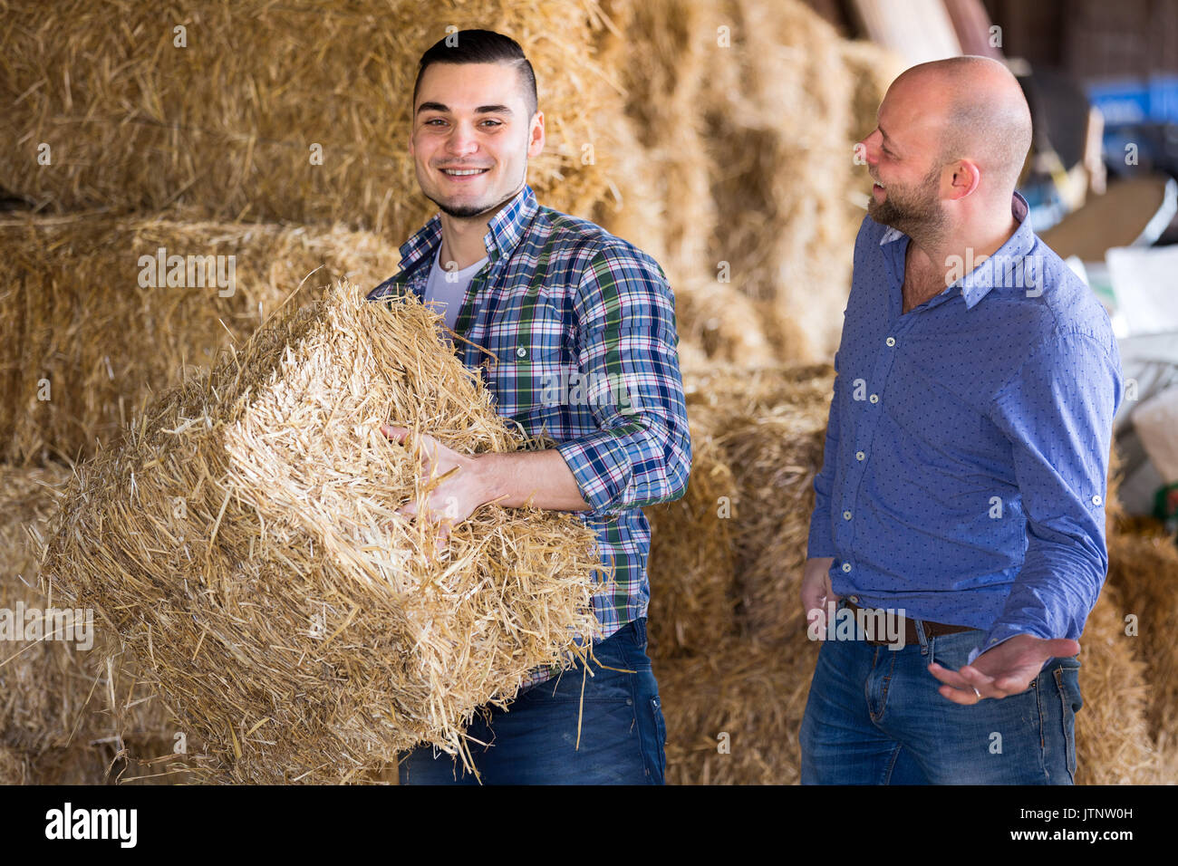 Farmers working in a barn. They are stacking hay in mow Stock Photo - Alamy