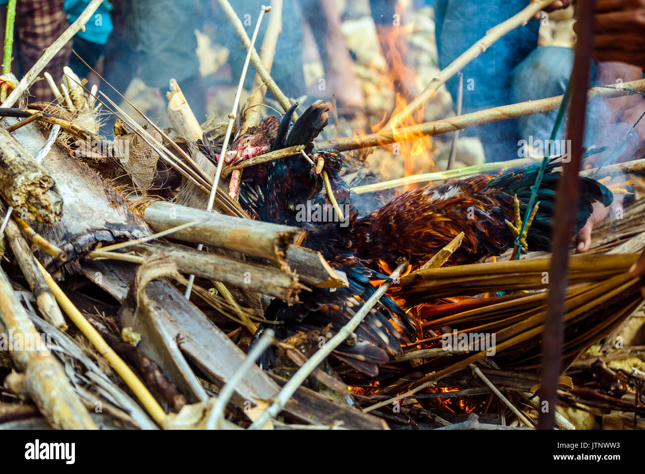 Sacrifice in fire at Pasola festival, Sumba Island, Indonesia Stock ...