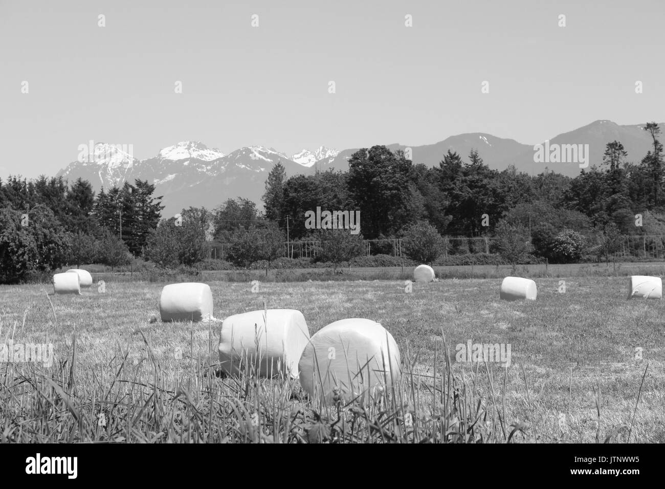 Fraser valley hi-res stock photography and images - Alamy