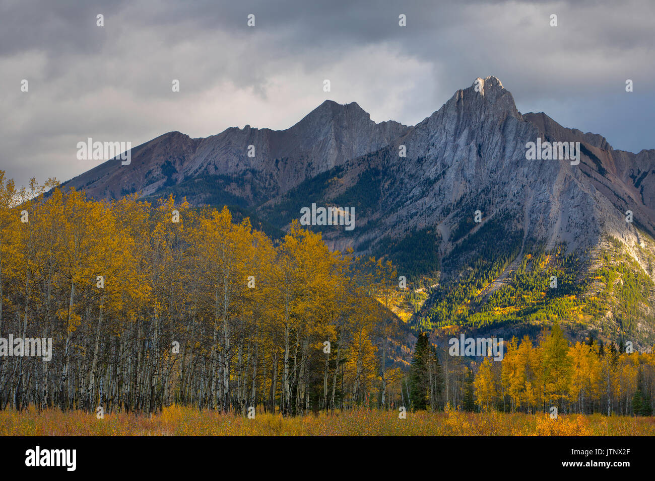 Fall color below a peak in Kananaskis country of Alberta, Canada Stock ...