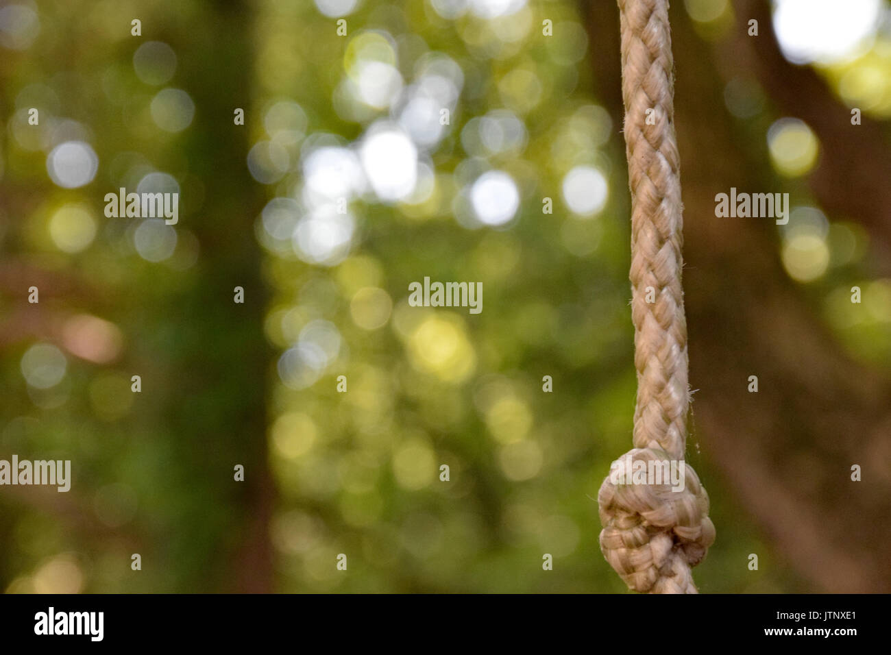 Old Knotted Rope Stock Photo - Alamy