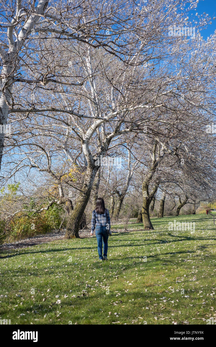 Person standing by trees hi-res stock photography and images - Alamy