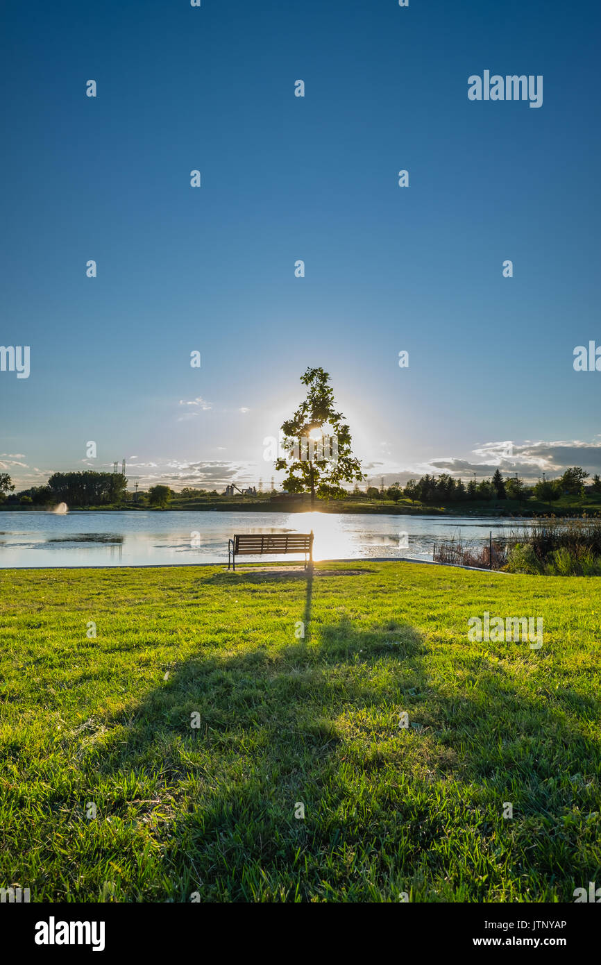 single bench at park with sunlight Stock Photo - Alamy