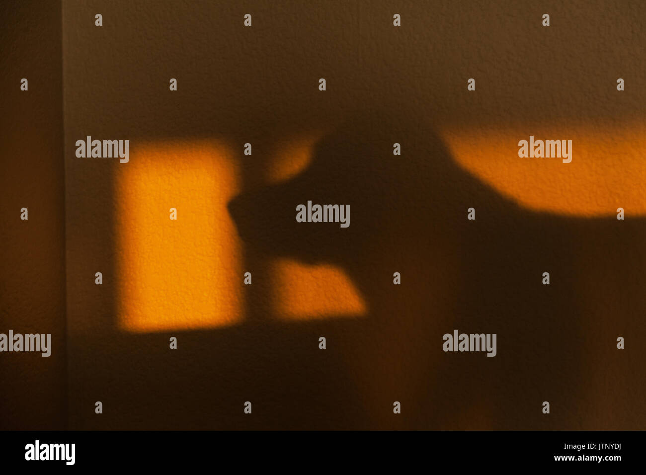 Large dog eating food hi-res stock photography and images - Alamy