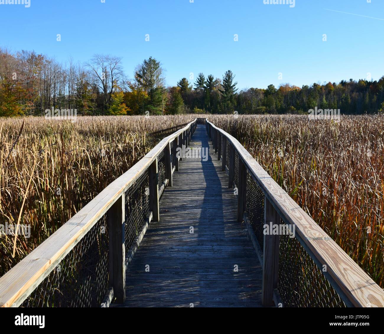 Pond walk hi-res stock photography and images - Alamy