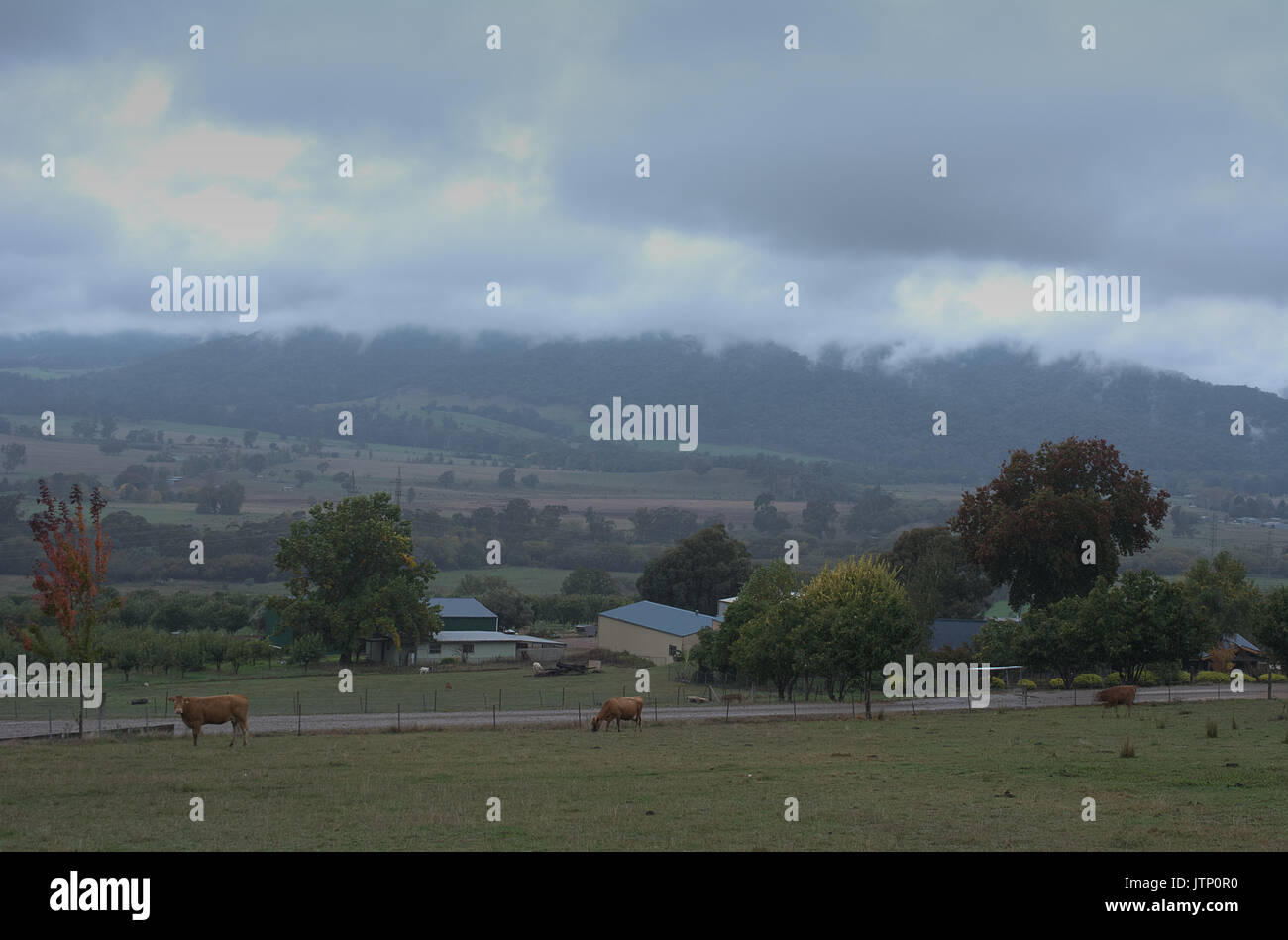 Homestead Kiewa Valley High Country Victoria Australia Stock Photo - Alamy