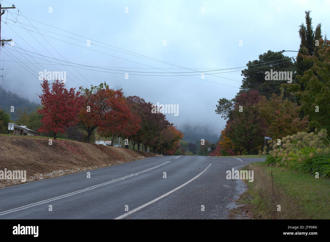 Countryside Road in Autumn Stock Photo - Alamy