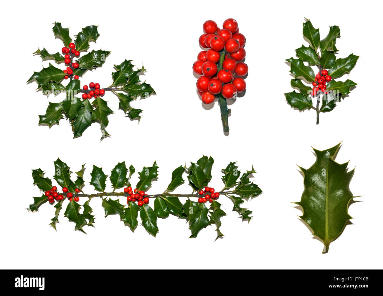 Holly corner hi-res stock photography and images - Alamy
