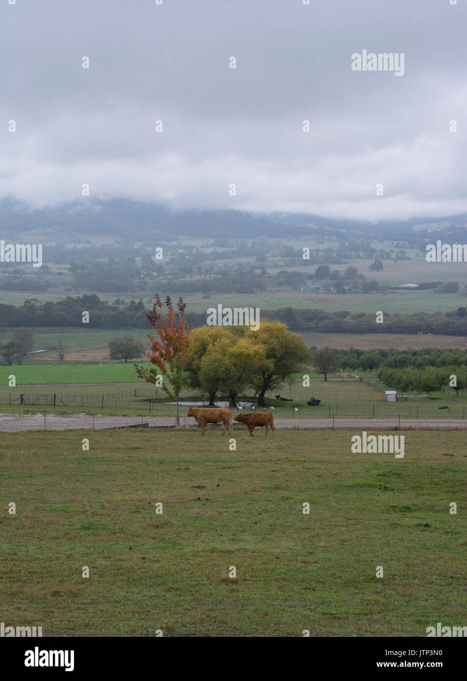 Kiewa Valley High Country Victoria Australia Stock Photo - Alamy