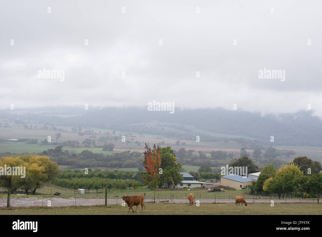 Homestead kiewa valley hi-res stock photography and images - Alamy
