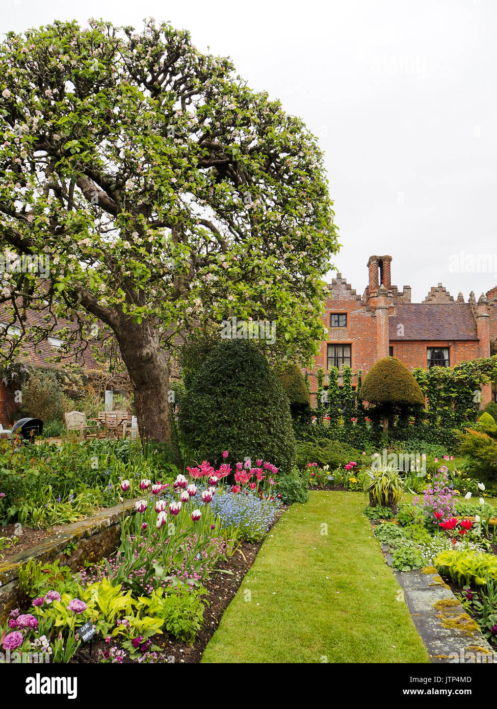 Portrait view of Chenies Manor House and sunken garden in Spring; apple ...